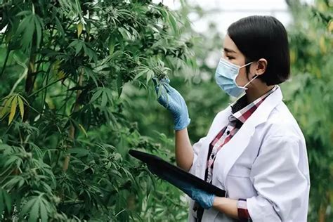 Making Field Data Collection Easier With Software Field Eagle