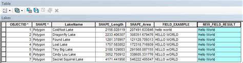 How To Convert A String To Proper Case In The ArcMap Field Calculator
