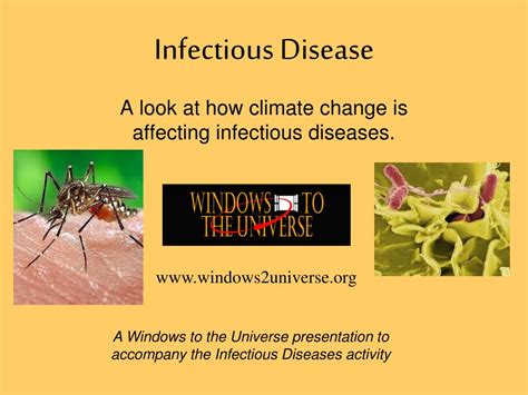 PPT Infectious Disease PowerPoint Presentation Free Download ID 3090482