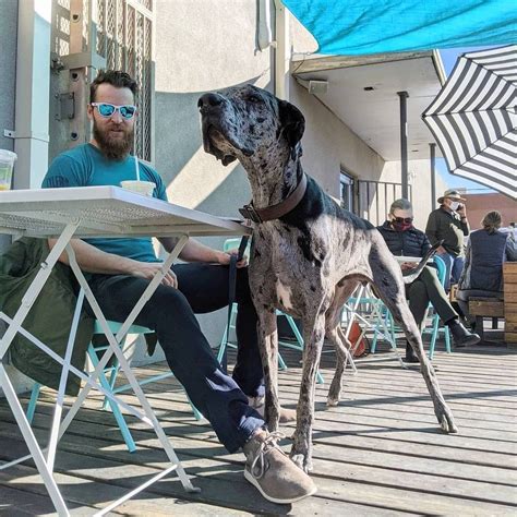 The Computer Guru Of Santa Fe ”steve Greeted Me Warmly Upon Pulling Into The Computer Guru I