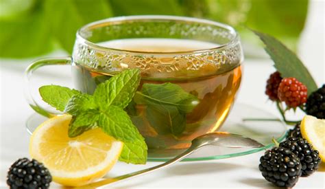 Top 12 Best Green Tea Brands For Weight Loss In India 2017