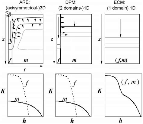 Schematic Representation Of The Conceptual Models Axisymmetric