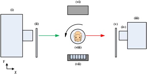 Schematic Diagram Of The Fmt Ct Dual Modality Imaging System Download Scientific Diagram
