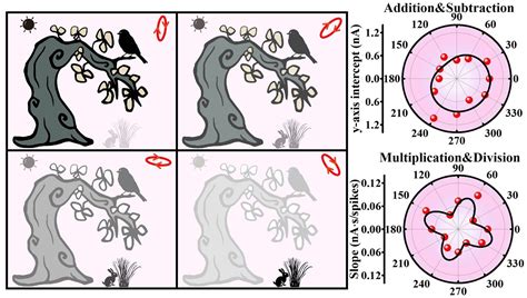 物电院成功研制出神经形态偏振感知器件 中南大学新闻网门户网站