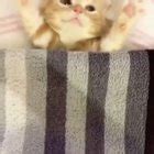 Bluetooth Drivers On Bootcamp R Bootcamp