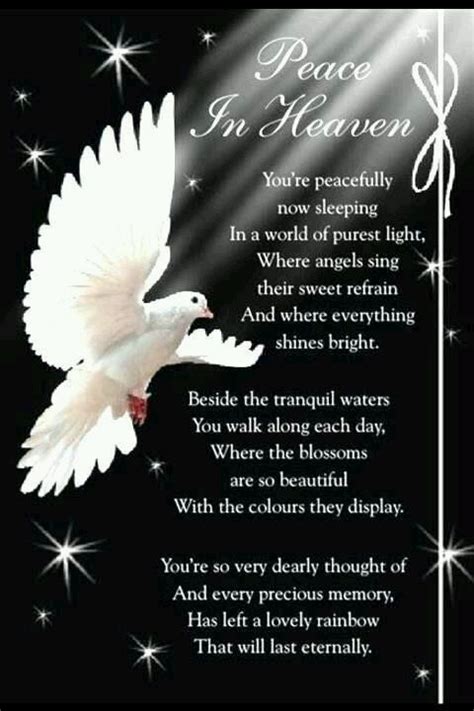 Rest In Peace Quotes For My Cousin Quotesgram