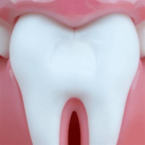 Hydroxyapatite And Cpp Acp For Tooth Remineralization