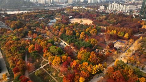 동네 한 바퀴 서울숲 카페거리 금남시장 보쌈 수도박물관 수제 버터 수제화 장인서울 성동구