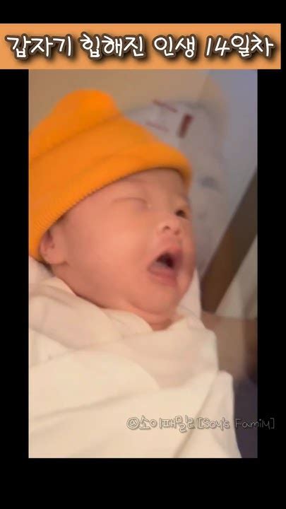 🍼갑자기 힙해진 인생 14일차🍼 Youtube