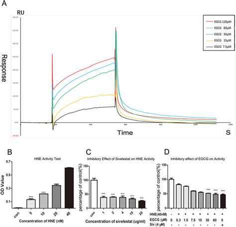The Binding Affinity Of Egcg To Neutrophil Elastase As Determined By Download Scientific