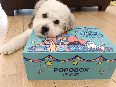 最适合新手饲养的狗狗。 知乎