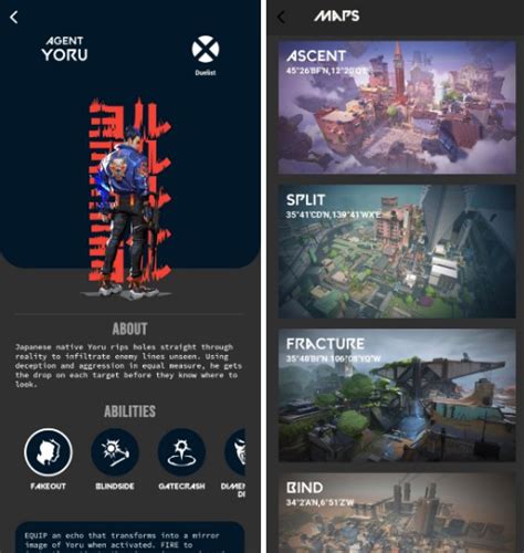 A Mobile Application Build With Flutter Having Information About A Fps Game
