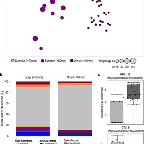 Comparison Of The Bacterial Compositional Differences Between Gut