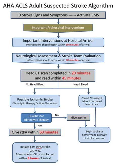 Adult Stroke Algorithm Acls