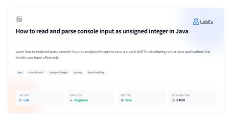 How To Read And Parse Console Input As Unsigned Integer In Java Labex