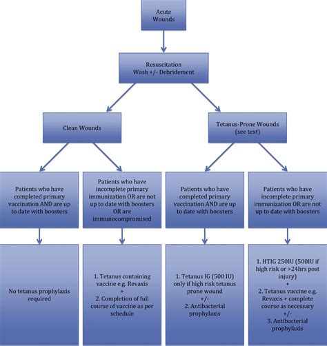 Tetanus Algorithm Hot Sex Picture