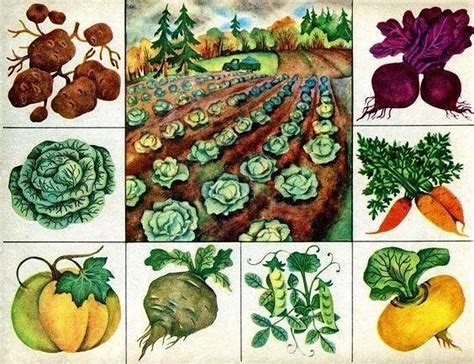 ДИДАКТИЧЕСКАЯ ИГРА ЧТО ГДЕ Интересный контент в группе Дефектология Проф логопед