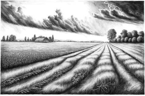 Premium AI Image Coloring Pages For Adult Crops Field Grayscale