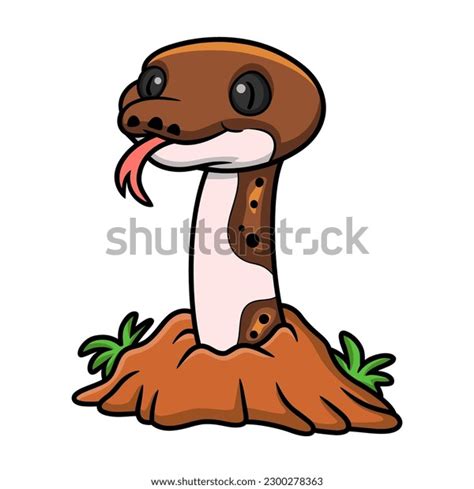 Cute Pied Reticulated Python Cartoon Out Stock Vector Royalty Free 2300278363 Shutterstock