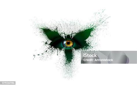 흰색 배경에 고립 된 페인트 스플래쉬 스플래터 및 얼룩으로 나비의 중앙에 여러 가지 색상의 인간의 큰 눈을 가진 어두운 녹색 색상의 나비의 아름다운 실루엣 0명에 대한 스톡
