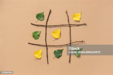 창조적 인 가을 개념 틱 택 발가락 여름과 가을 사이의 십자가 분기로 만든 그리드의 녹색 및 노란색 잎 가을이 승자입니다 상단 보기 플랫 레이 삼목 두기에 대한 스톡 사진