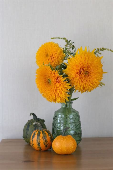 Подсолнухи и тыквы эстетика