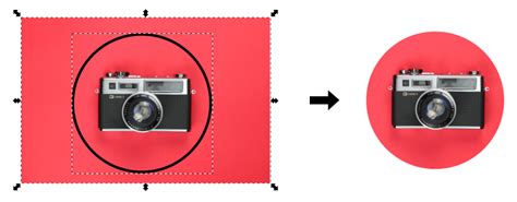 Easy Image Cropping In Inkscape Complete Guide Self Made Designer