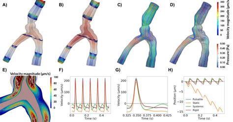 Top Panel Snapshots Of Csf Velocity And Pressure At The Time Of Peak