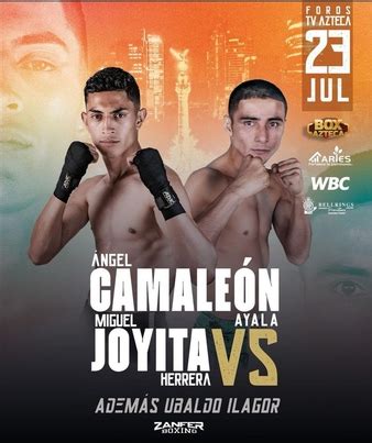 Silvia Torres Vs Tania Garcia Hernandez Ayala Vs Herrera Boxing