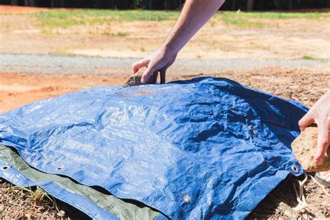 How To Kill A Tree Stump 4 Different Ways