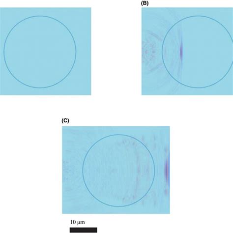 The Fdtd Analysis With A 1300 μm² Simulation Area For Traditional Download Scientific Diagram