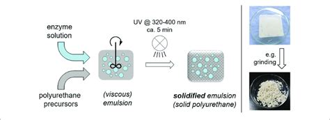General Preparation Of Uv Cured Enzyme Compartments In Polyurethane Download Scientific Diagram