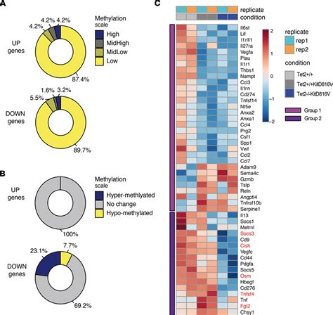 Cross Comparison Of Methylation And Rna Seq Data A Differentially