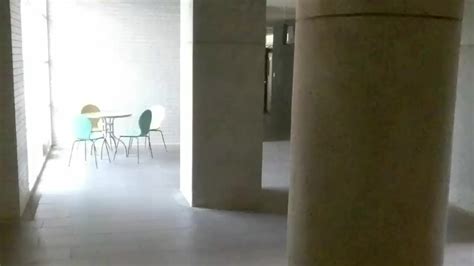 How To Optimize Training · Issue 116 · Nianticlabs Monodepth2 · Github