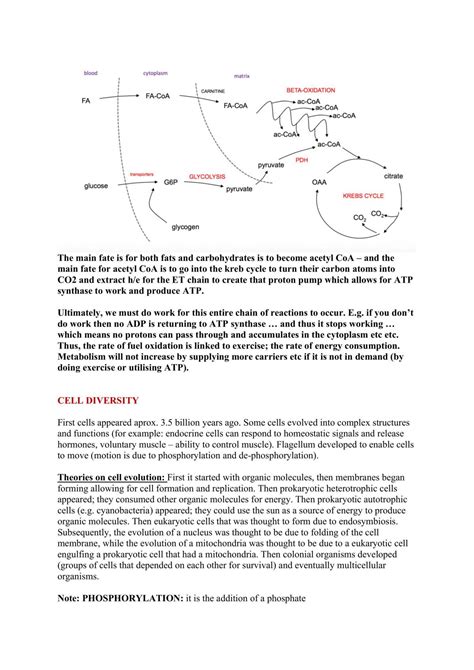 Biol1007 Notes Biol1007 From Molecules To Ecosystems Usyd Thinkswap