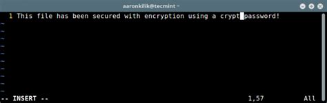 How To Password Protect A Vim File In Linux