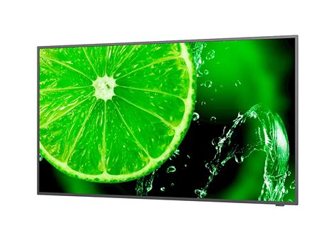 nec essential large format display multisync e438 lcd 43 4k uhd mit 3840 x 2160 px ips panel