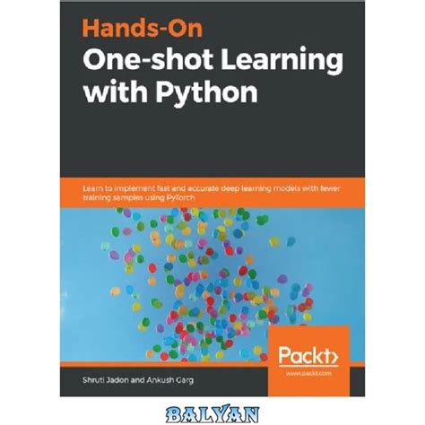 Hands On One Shot Learning With Python Learn