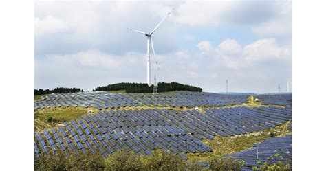 Изграждането на зелен Китай насърчава устойчивото развитие на света