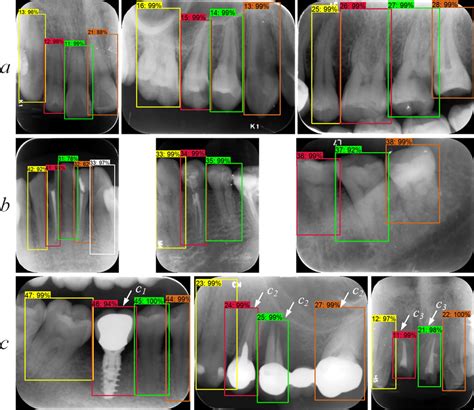 Sample Images Correctly Annotated By Neural Networks On Test Dataset
