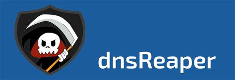 Punk Security Dnsreaper Test A Domain For Subdomain Hijacking