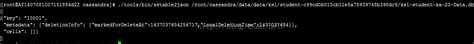 nosql cassandra cassandra 运维工具 （自带的命令工具） 使用 cassandra tools csdn博客