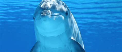 Java 《spring 手撸专栏》第 2 章：小试牛刀让新手能懂，实现一个简单的bean容器 Codeguide程序员编码指南 Segmentfault 思否