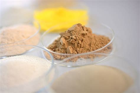 Biogas Enzimmengurangi Bahan Baku Biomassaproses Fermentasi Biogas