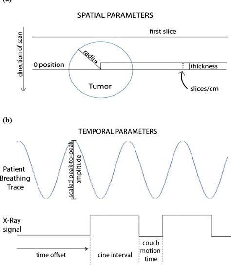 Figure 1 From Variations In Tumor Size And Position Due To Irregular