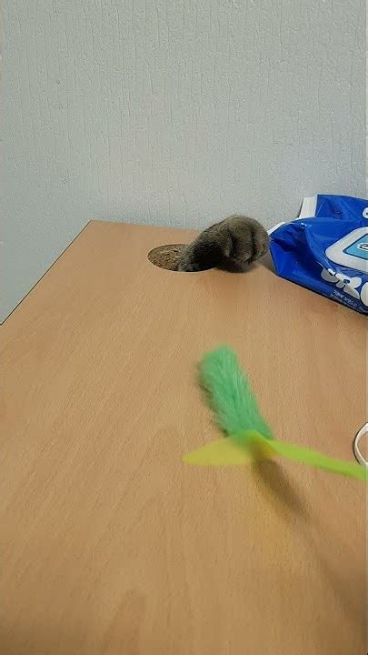 두더지 잡기 Youtube