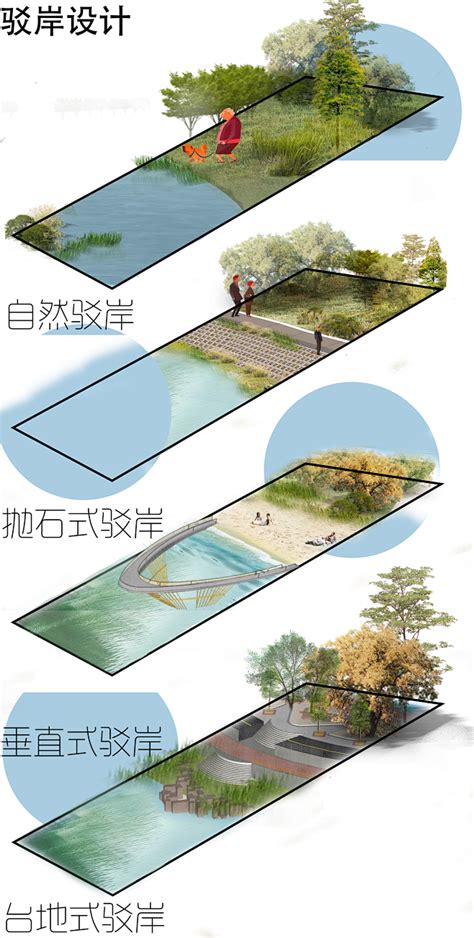 驳岸设计分析图