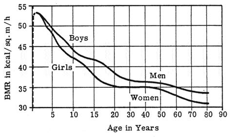 Understanding Rmr Bmr And More For Weight Loss