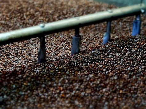 Colonial Coffee Roasters Wholesale Coffee Roasting In Miami