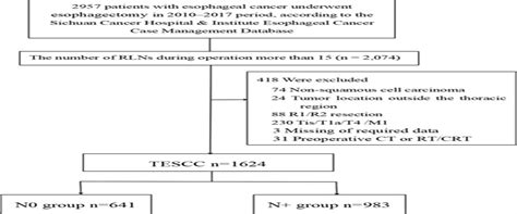 International Journal Of Surgery